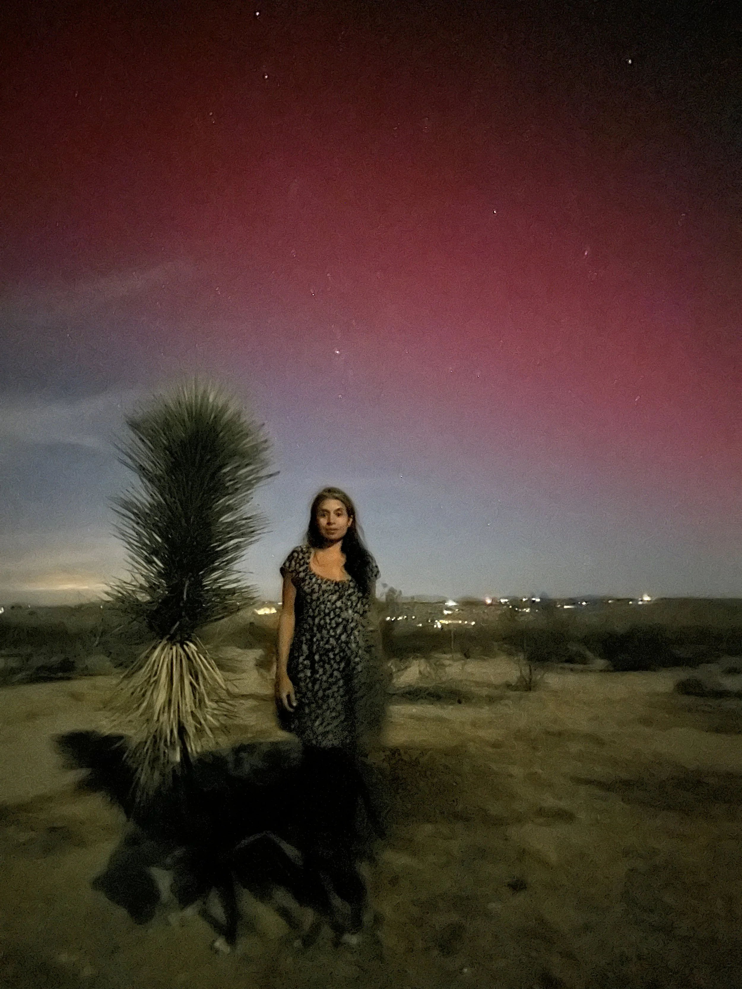 Blog 3 — Rohini Walker