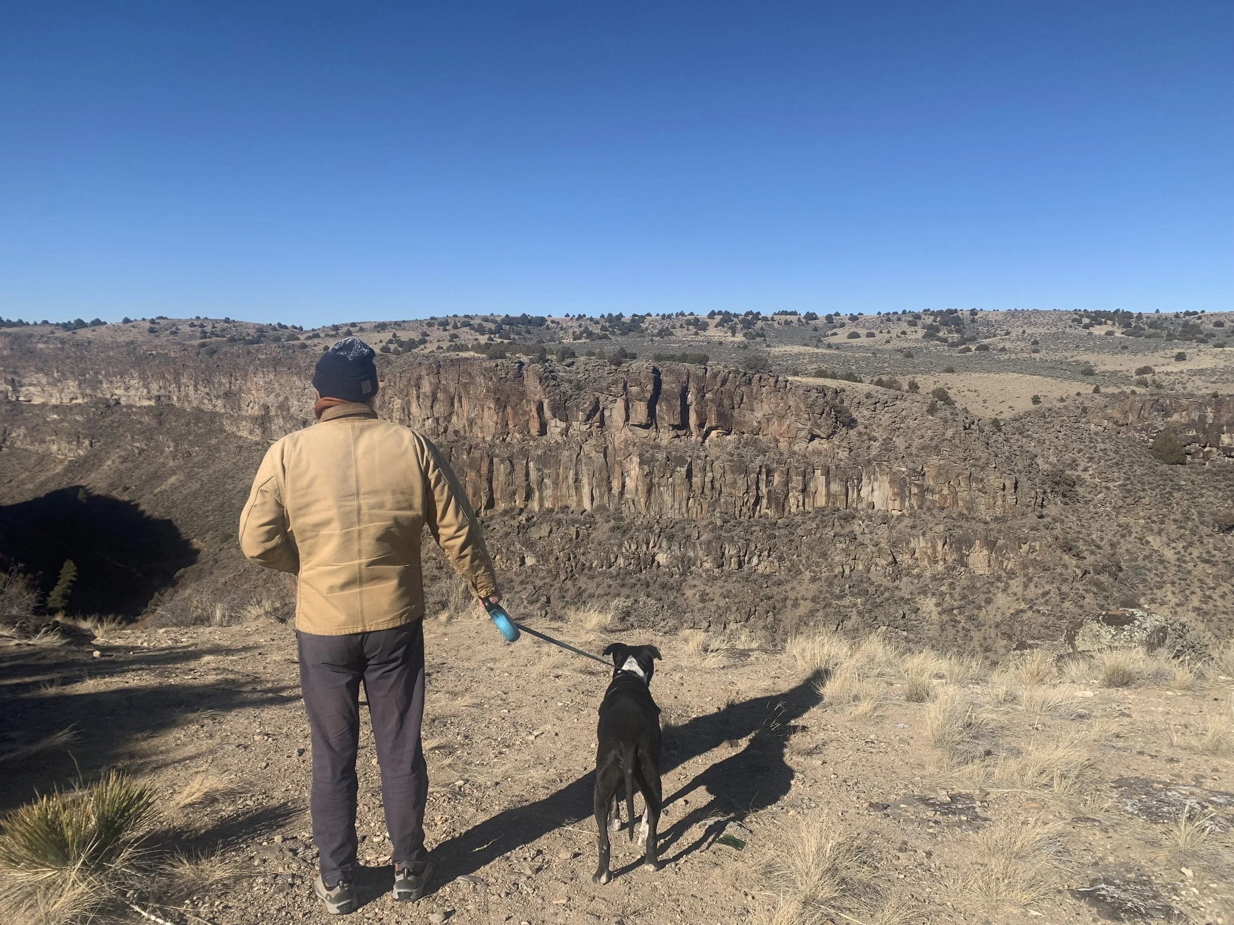 Blog 3 — Rohini Walker