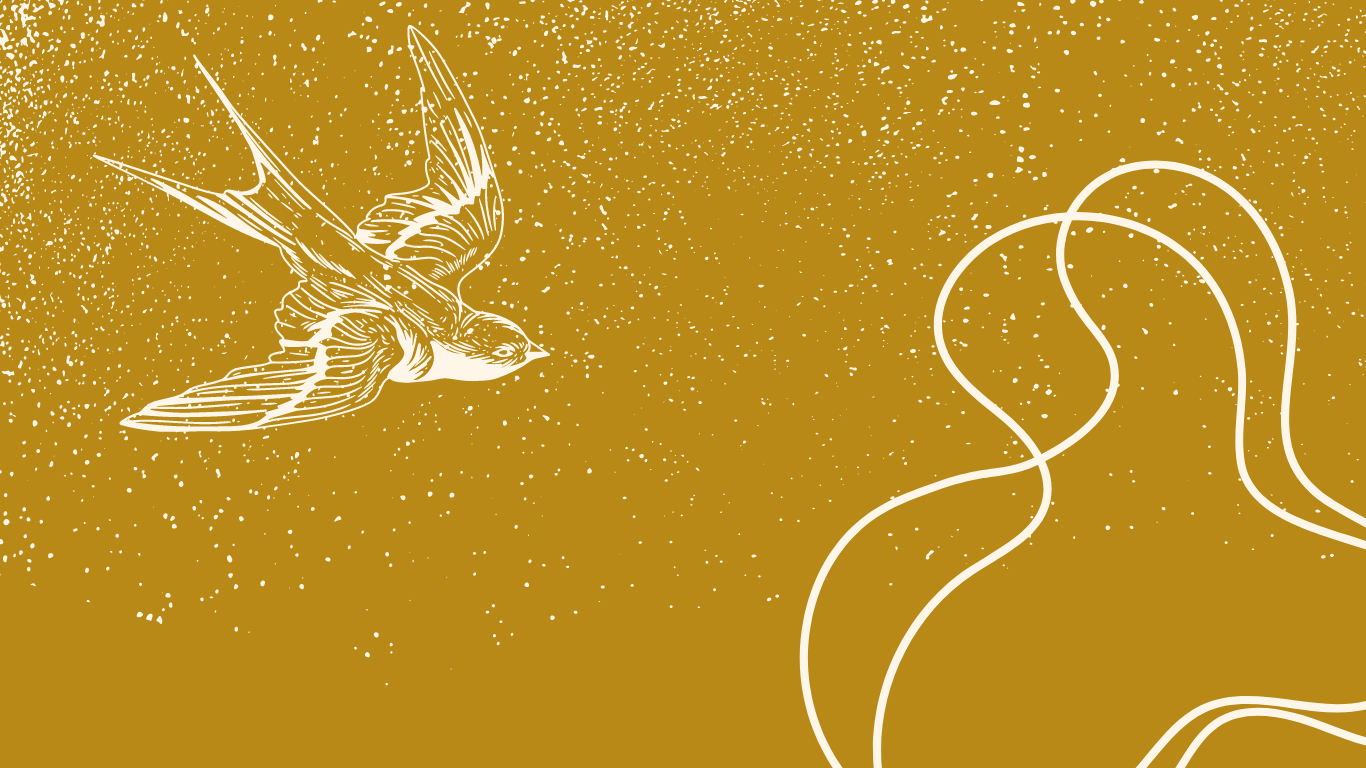 Money + Me | Embrace Prosperity Now — Rohini Walker