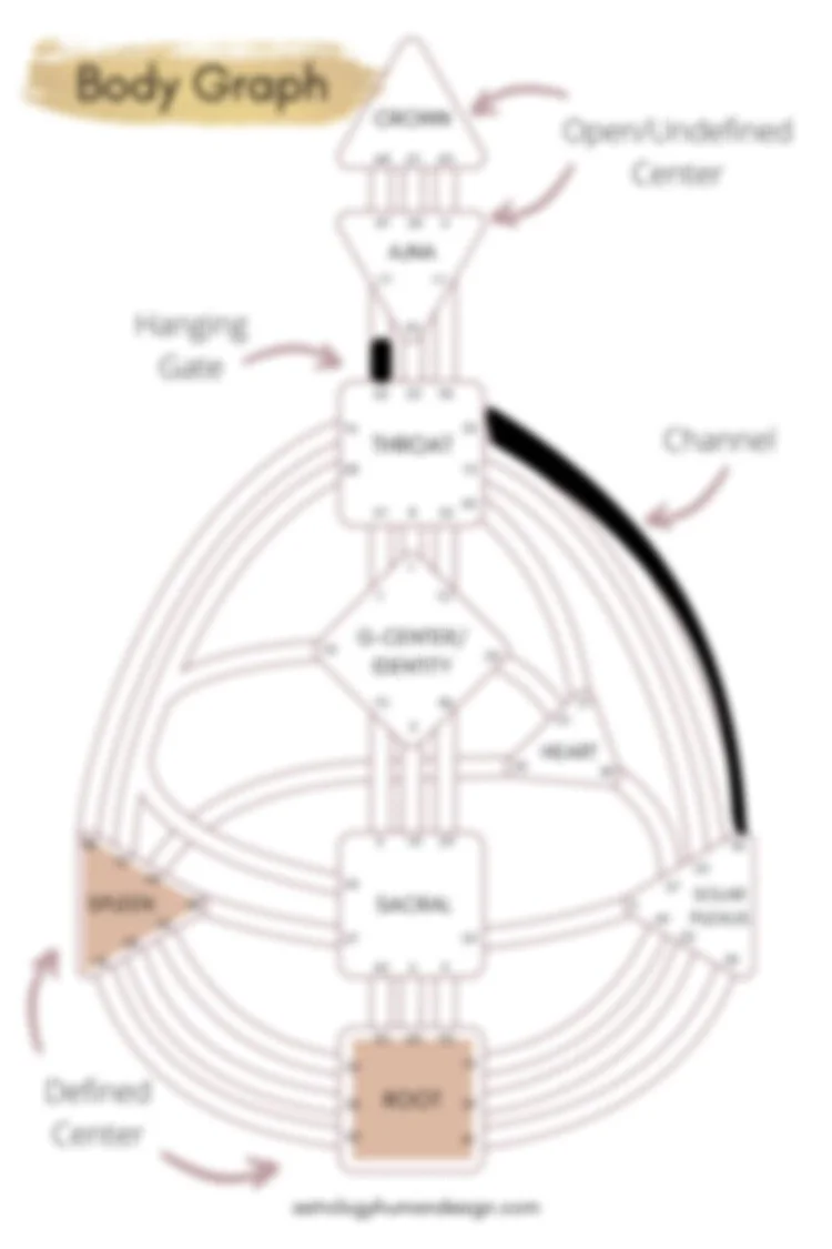 Human Design Variable Arrows — The Human Design Astrologer