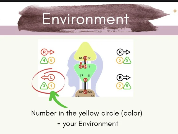 Creating Your Perfect Space: Your Human Design Environment — Learn AstroHD