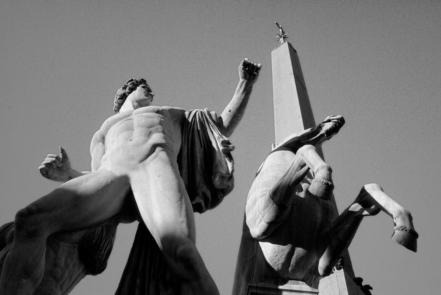 Shop Dioscuri — Dioscuri