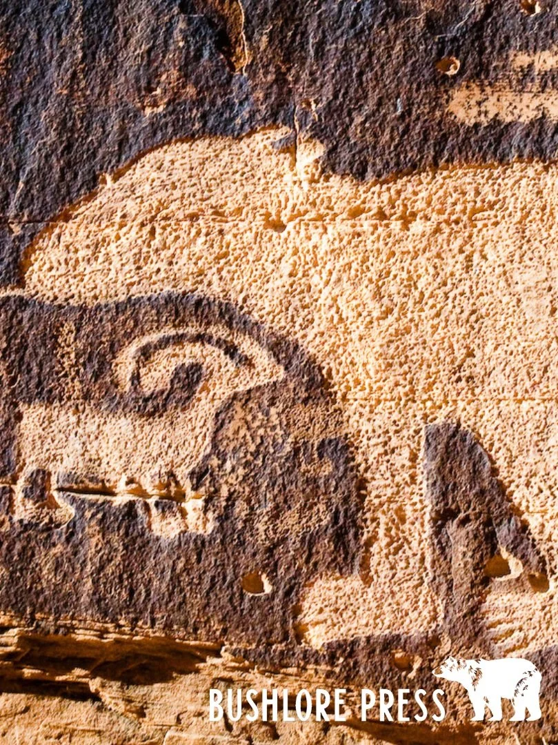 Bear Medicine in Ute Culture — Bushlore Press