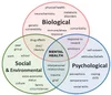 Biopsychosocial Model for Mental Health — Water & Stone