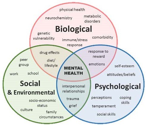 Biopsychosocial Model for Mental Health — Water & Stone