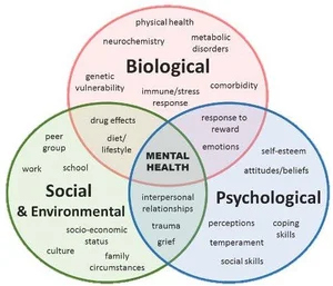 Biopsychosocial Model for Mental Health — Water & Stone