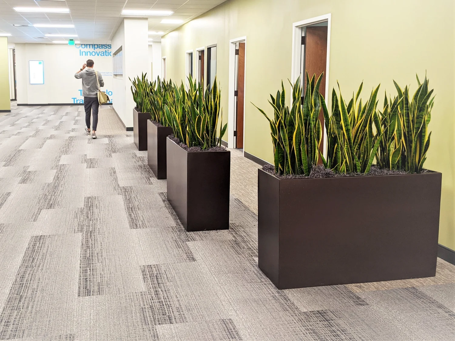 Benefits of Plants & Plant Arrangement Installations | Biome