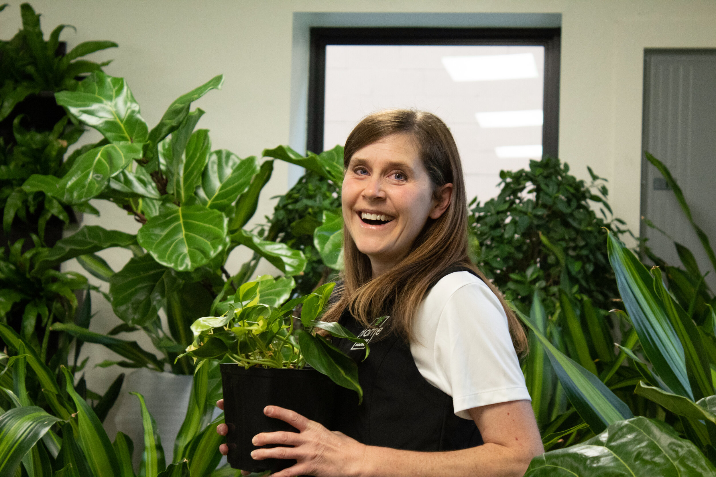 About Us | Interior Plant Design in Idaho| Biome