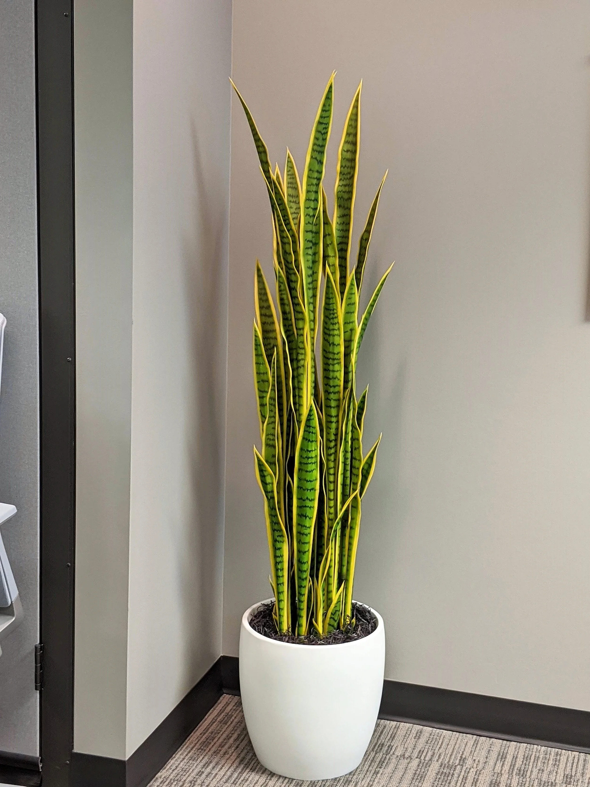 Replica Plants | Permanent Greenery Installations | Biome