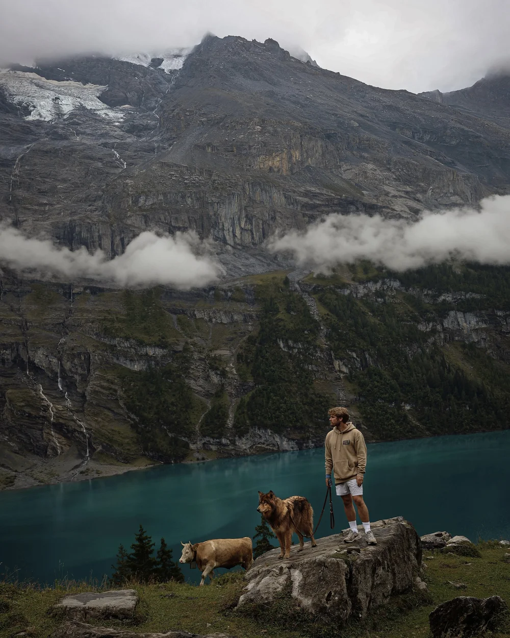 Portfolio — Wander With Willow