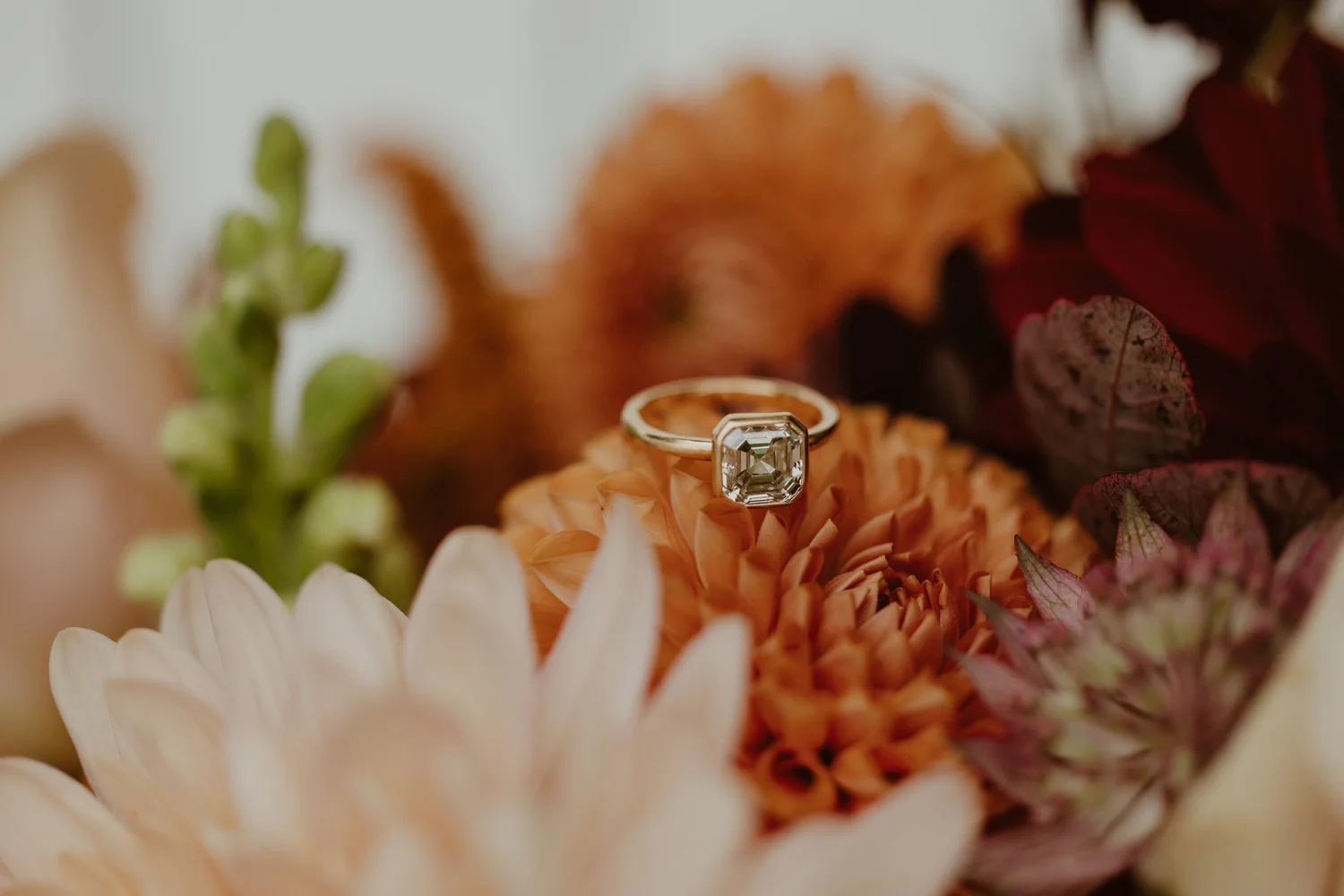 B. Christine Photography