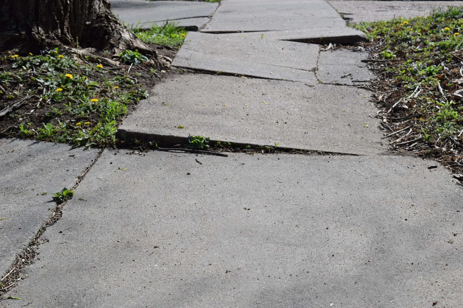 Why it pays to fix damaged footpaths — Pavement Management Services