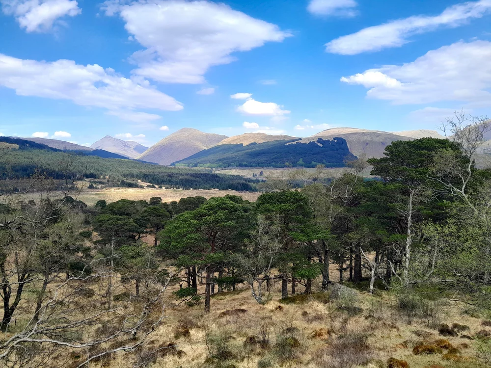 West Highland Way 2024 - A Natural Tour — West Highland Way Trust ...