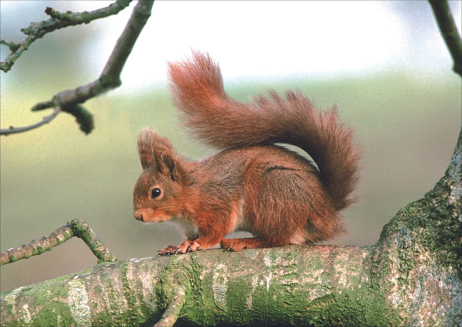 West Highland Way 2024 - A Natural Tour — West Highland Way Trust ...
