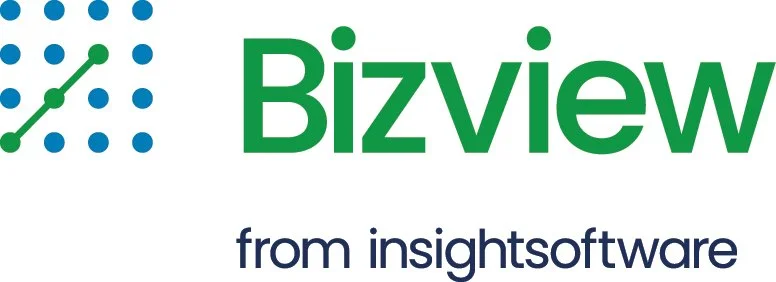 Bizview | Streamline Your Planning — Kokai Consulting