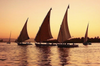Felucca: Riding the Nile Through History — CSA Reviving Community