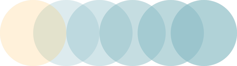 News Product Management Certification — News Product Alliance