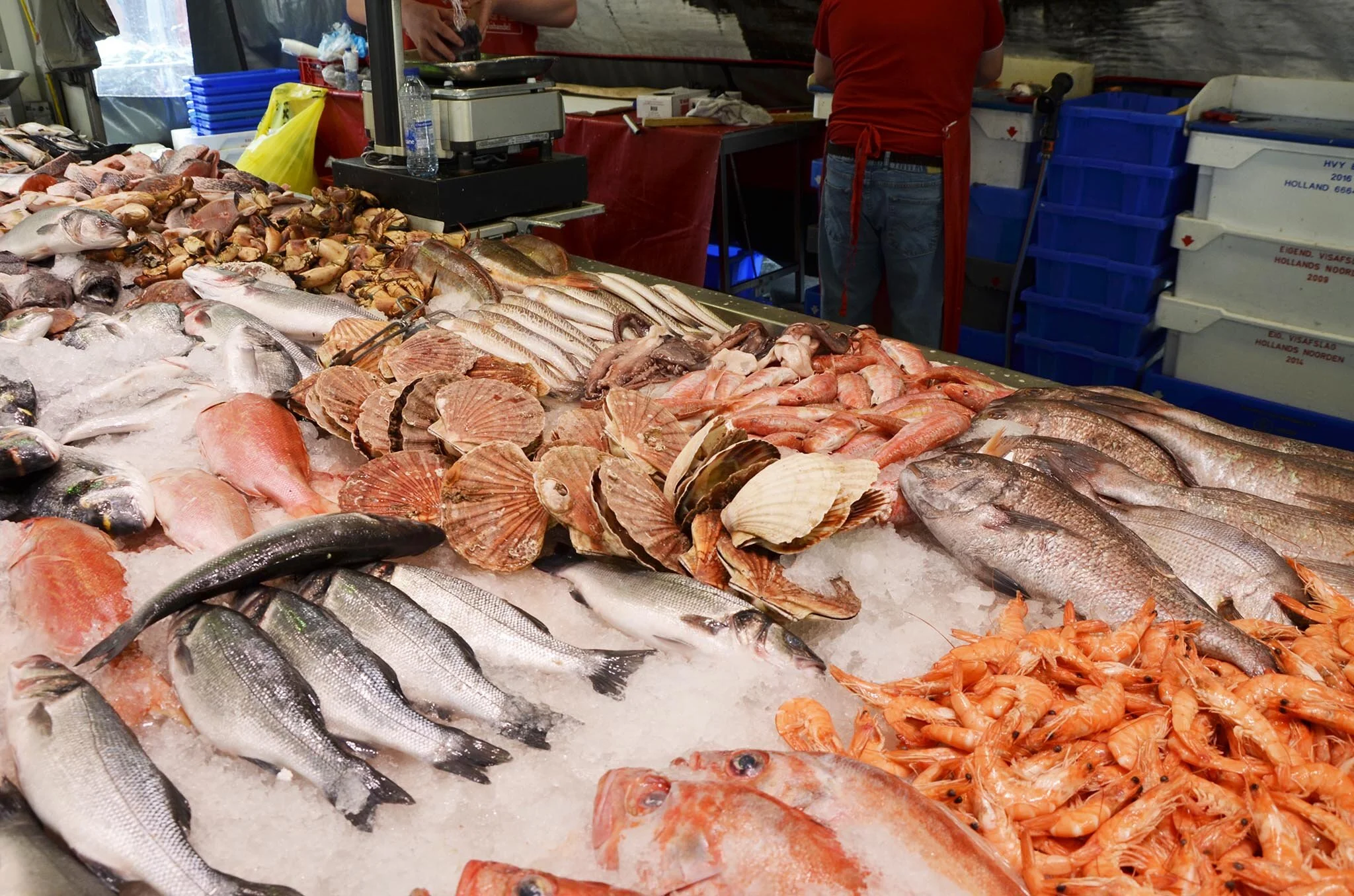 The 'Gezelligste' Market Of Amsterdam - Dappermarkt — A CITY MADE BY PEOPLE