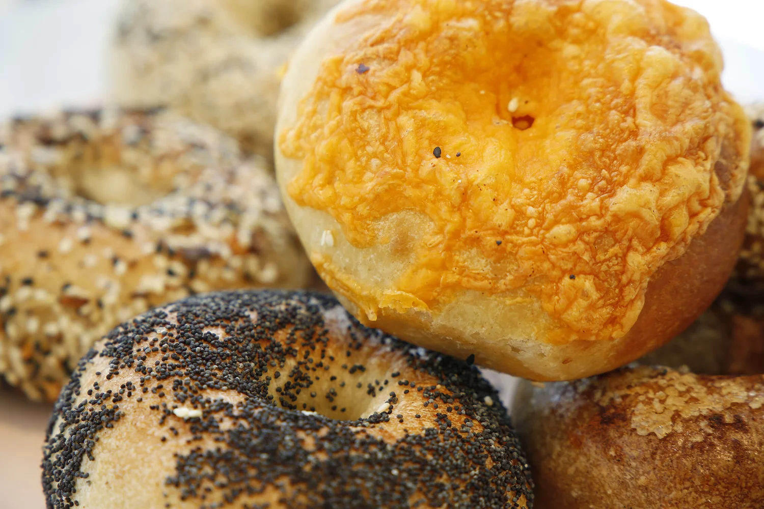 TILLY BAGEL SHOP