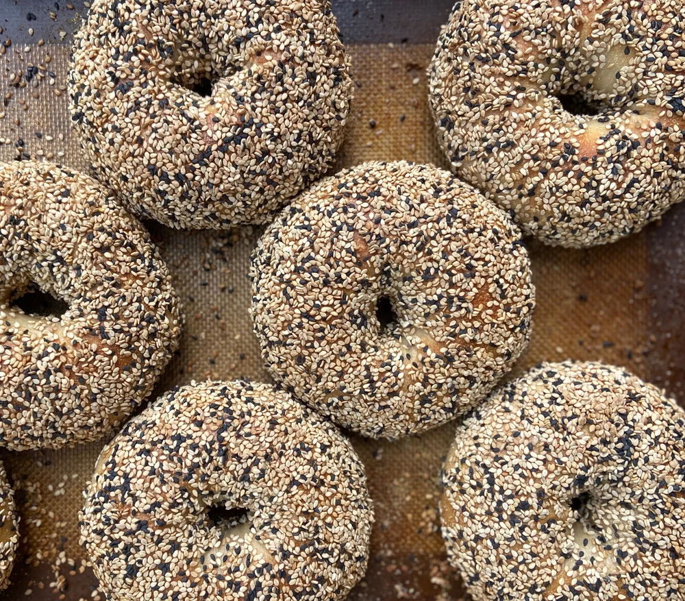 Gallery — TILLY BAGEL SHOP