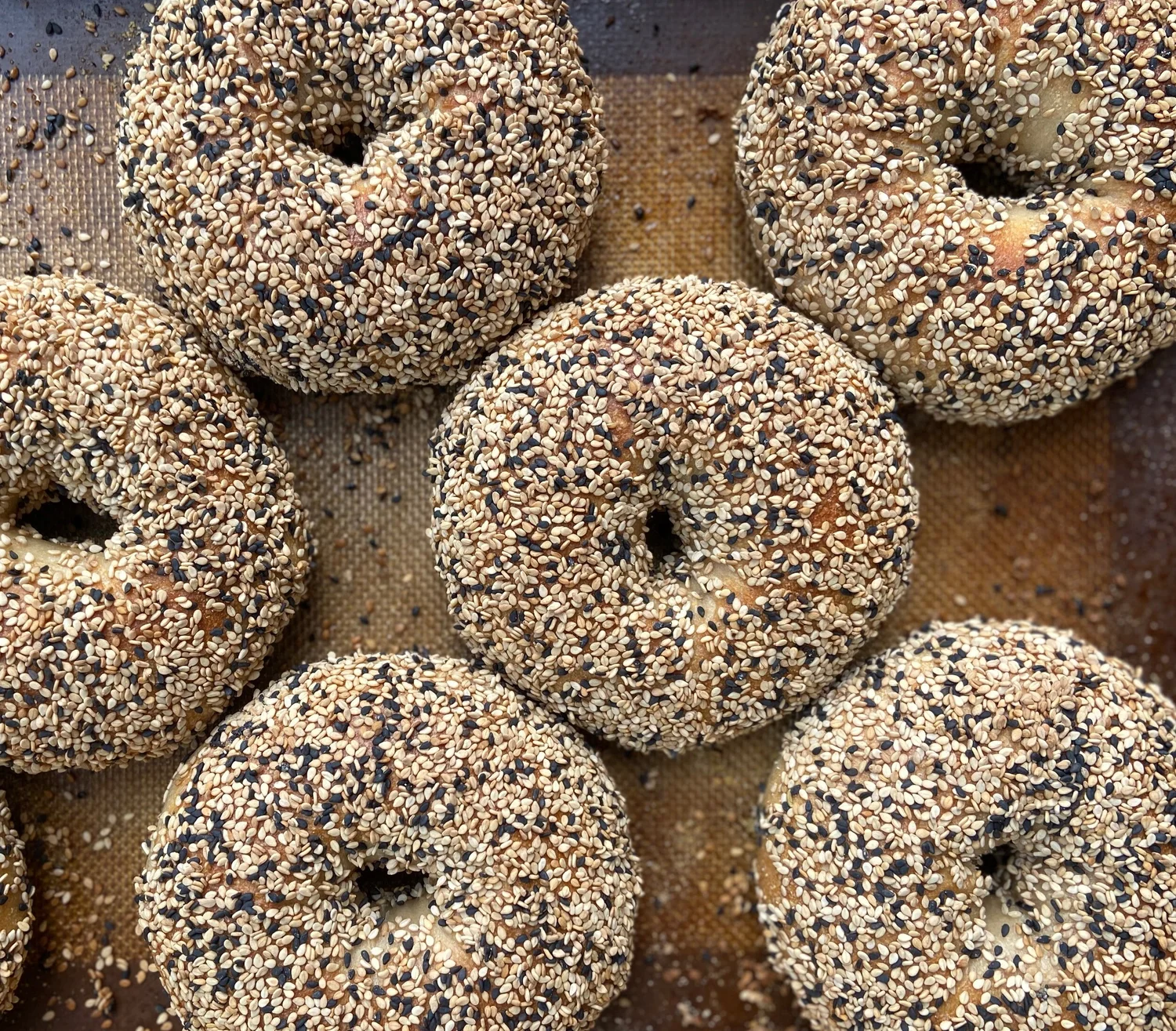 Gallery — TILLY BAGEL SHOP