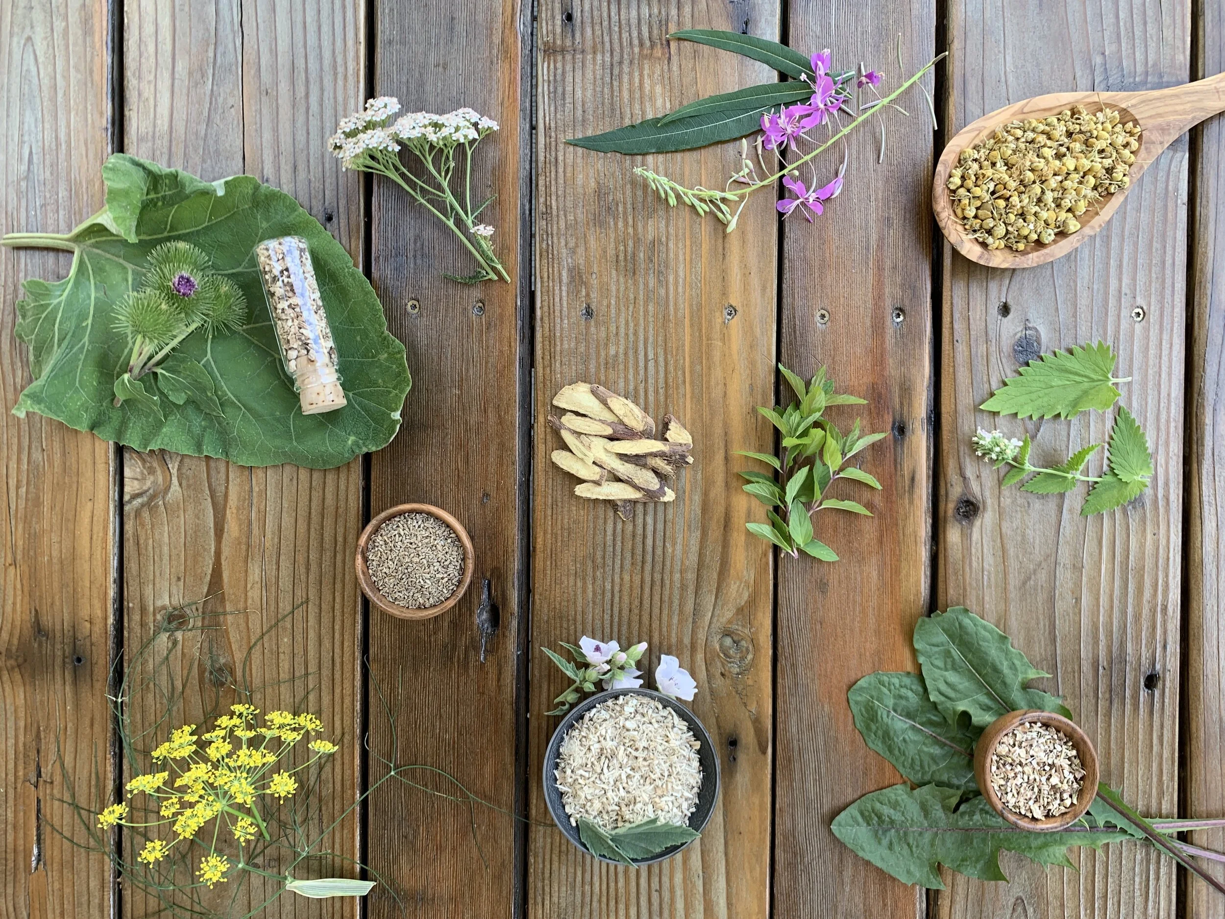 FREE Herb Books — Green Path Herb School