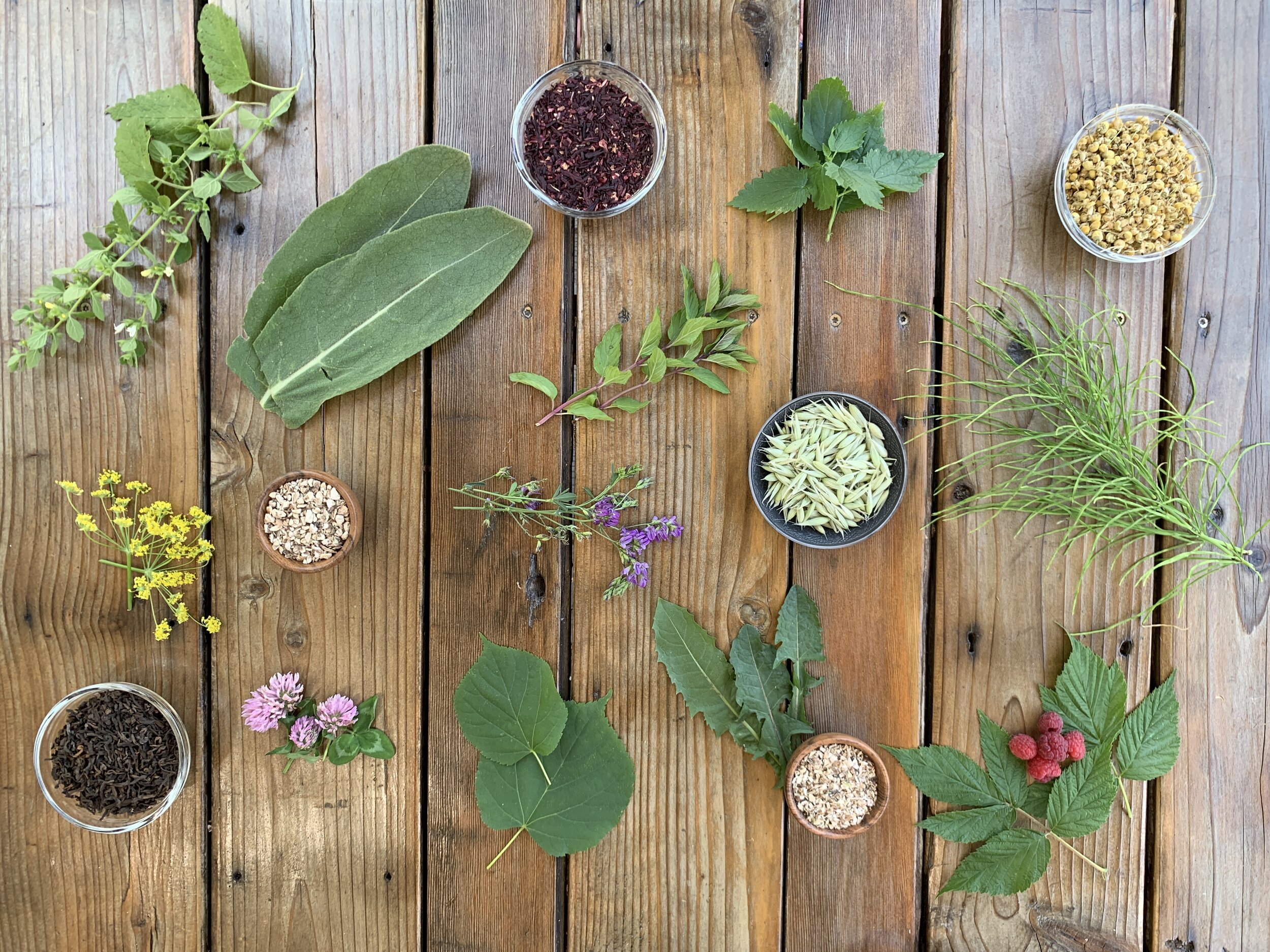 Cycle Tracking and Natural Birth Control — Green Path Herb School