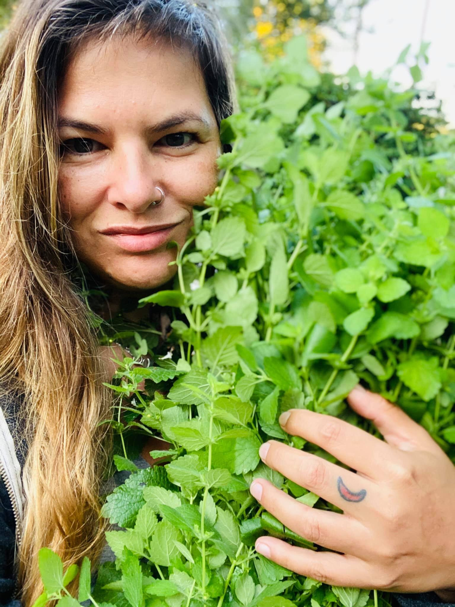 About — Green Path Herb School