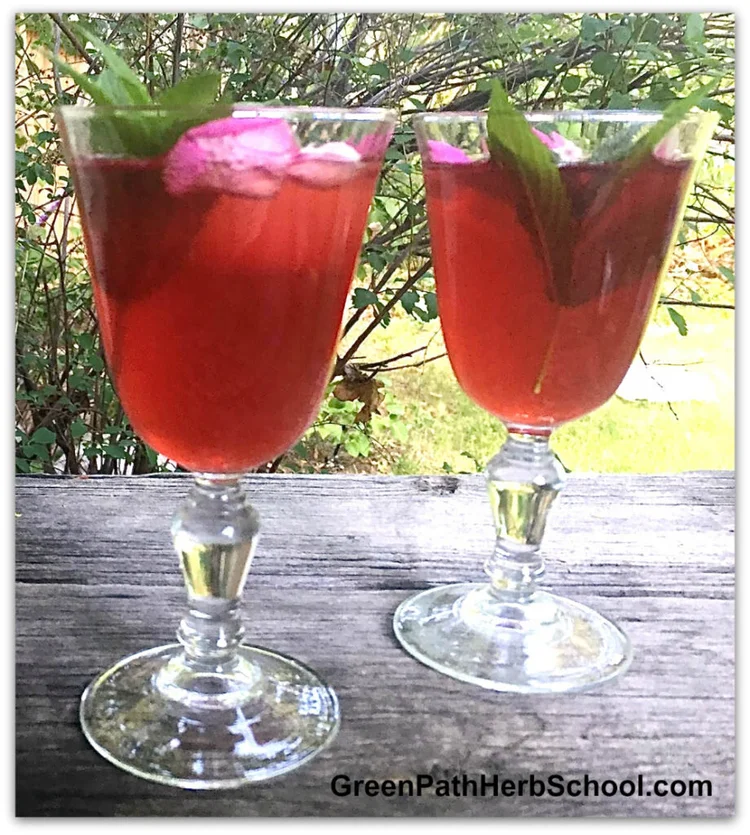 Rose Cordial — Green Path Herb School