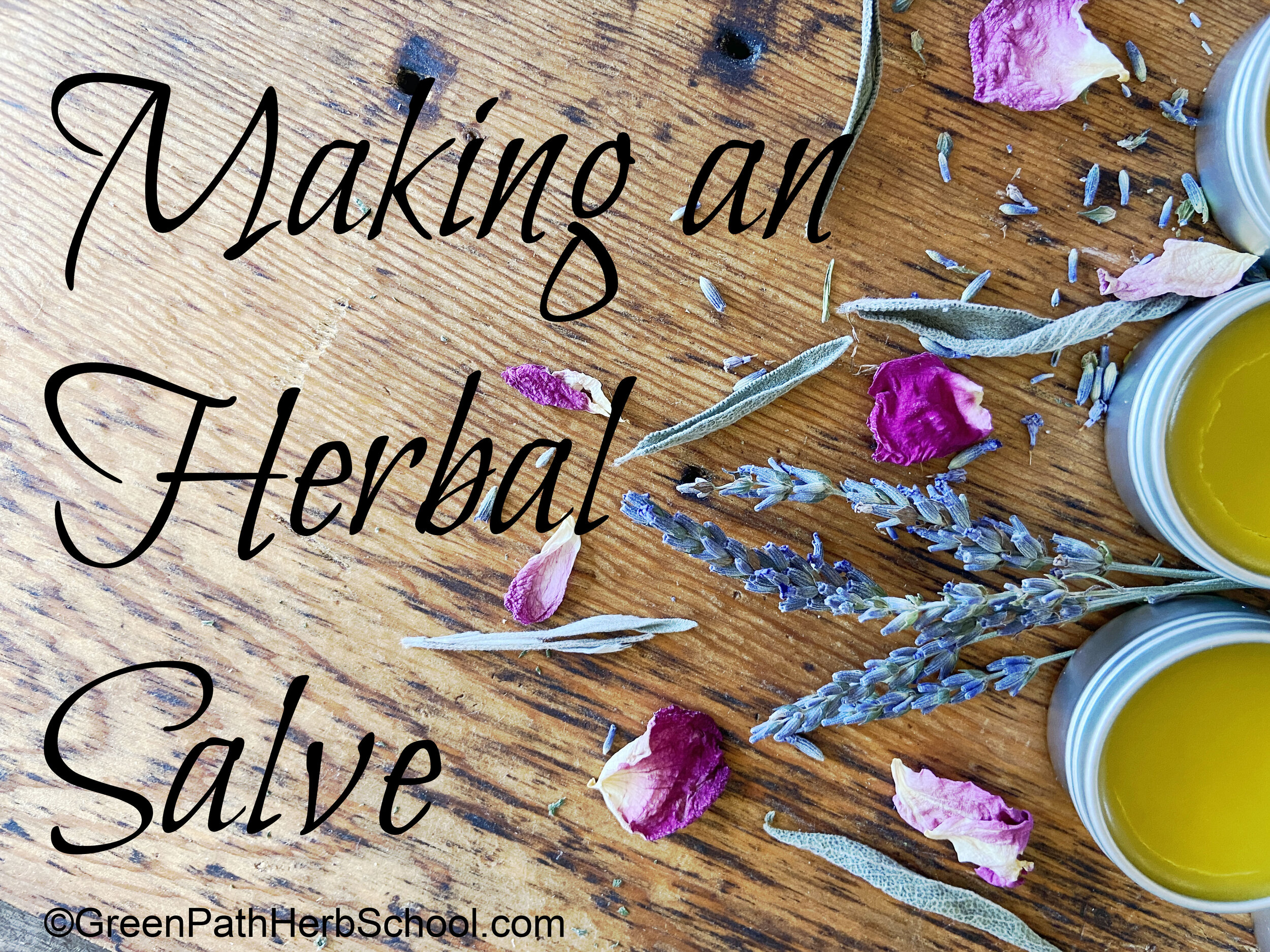 Making an Herbal Salve — Green Path Herb School