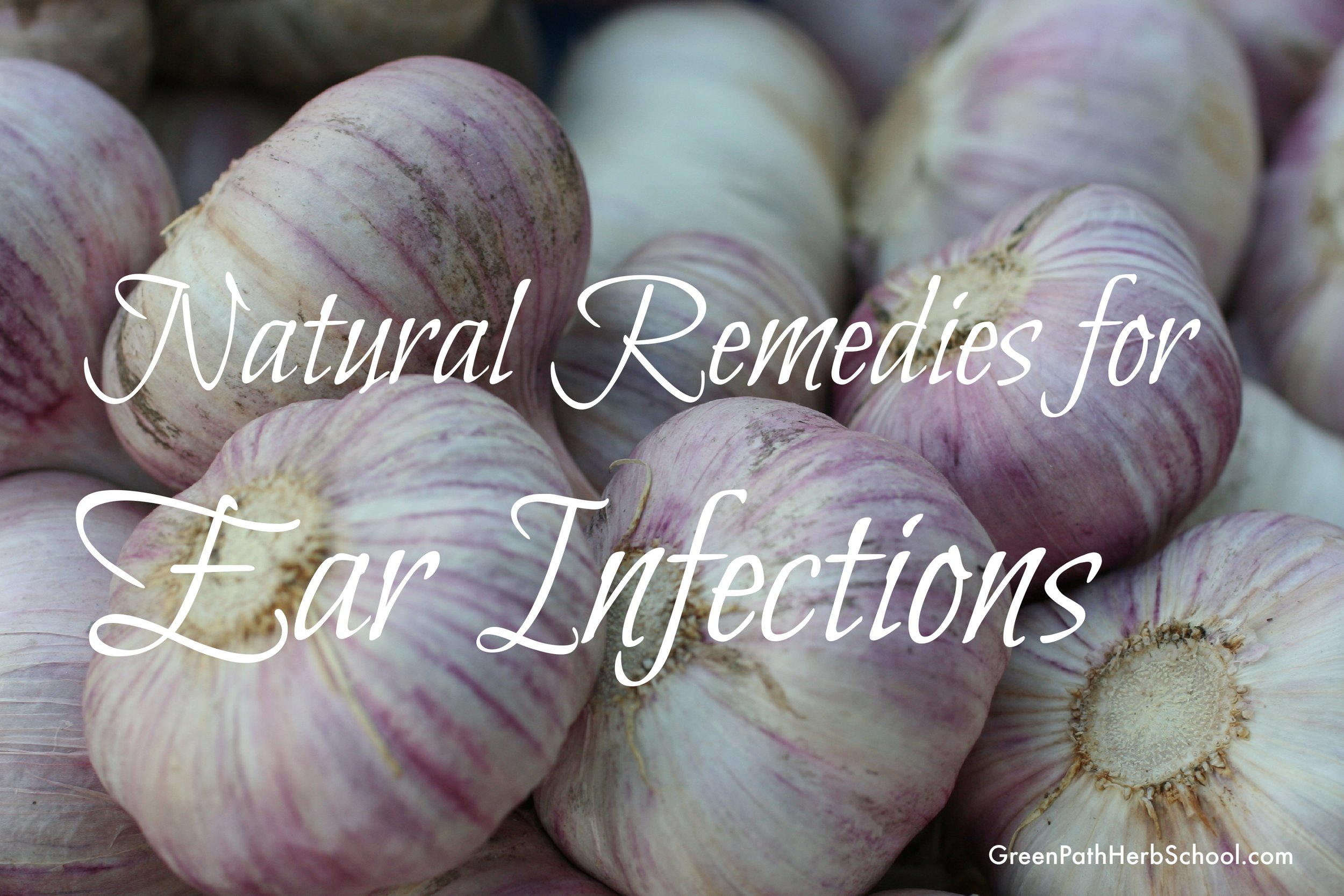Natural Remedies for Ear Infections — Green Path Herb School