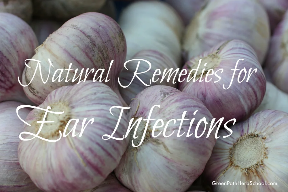 Natural Remedies for Ear Infections — Green Path Herb School