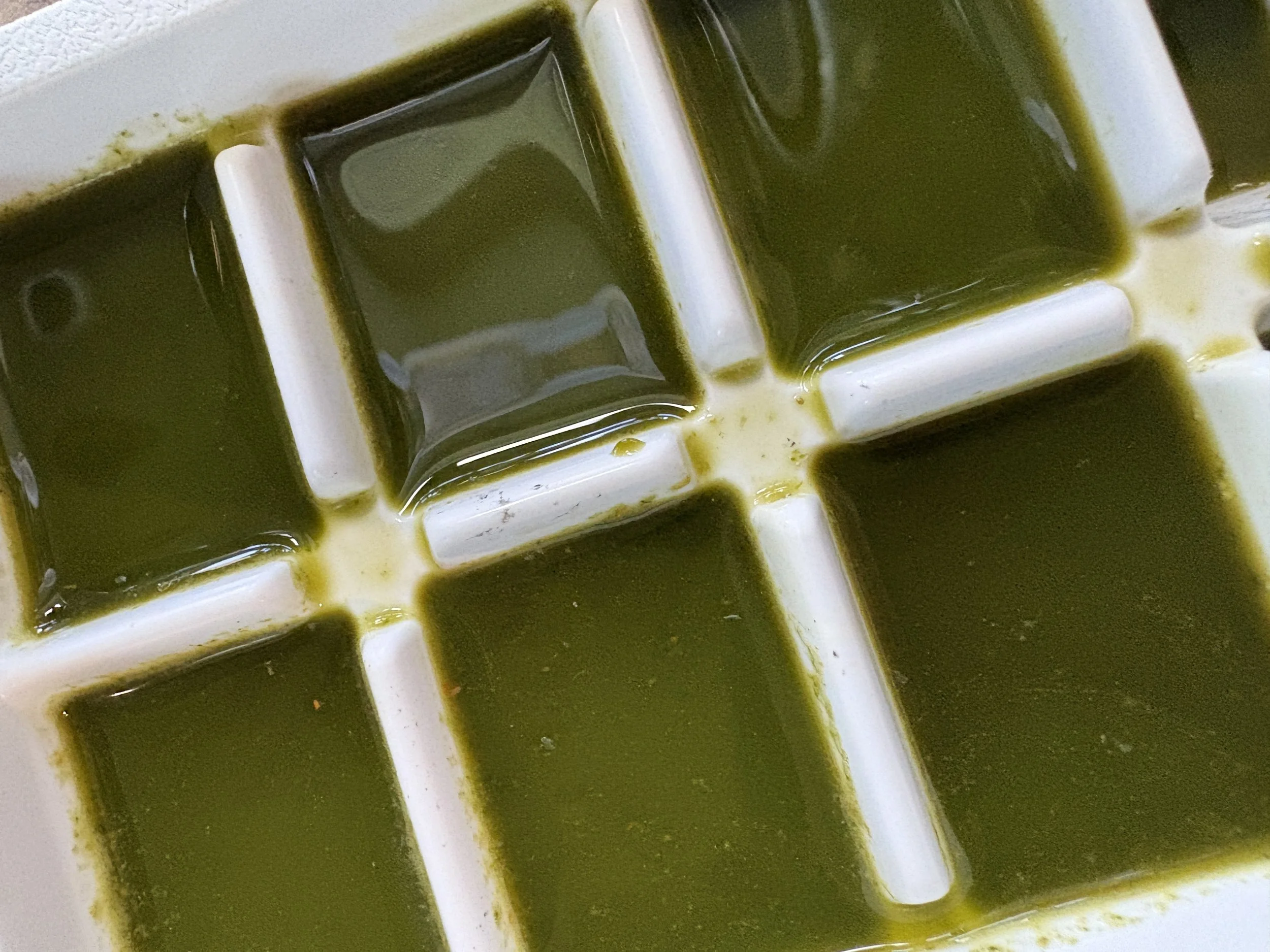 Making an Herbal Succus — Green Path Herb School