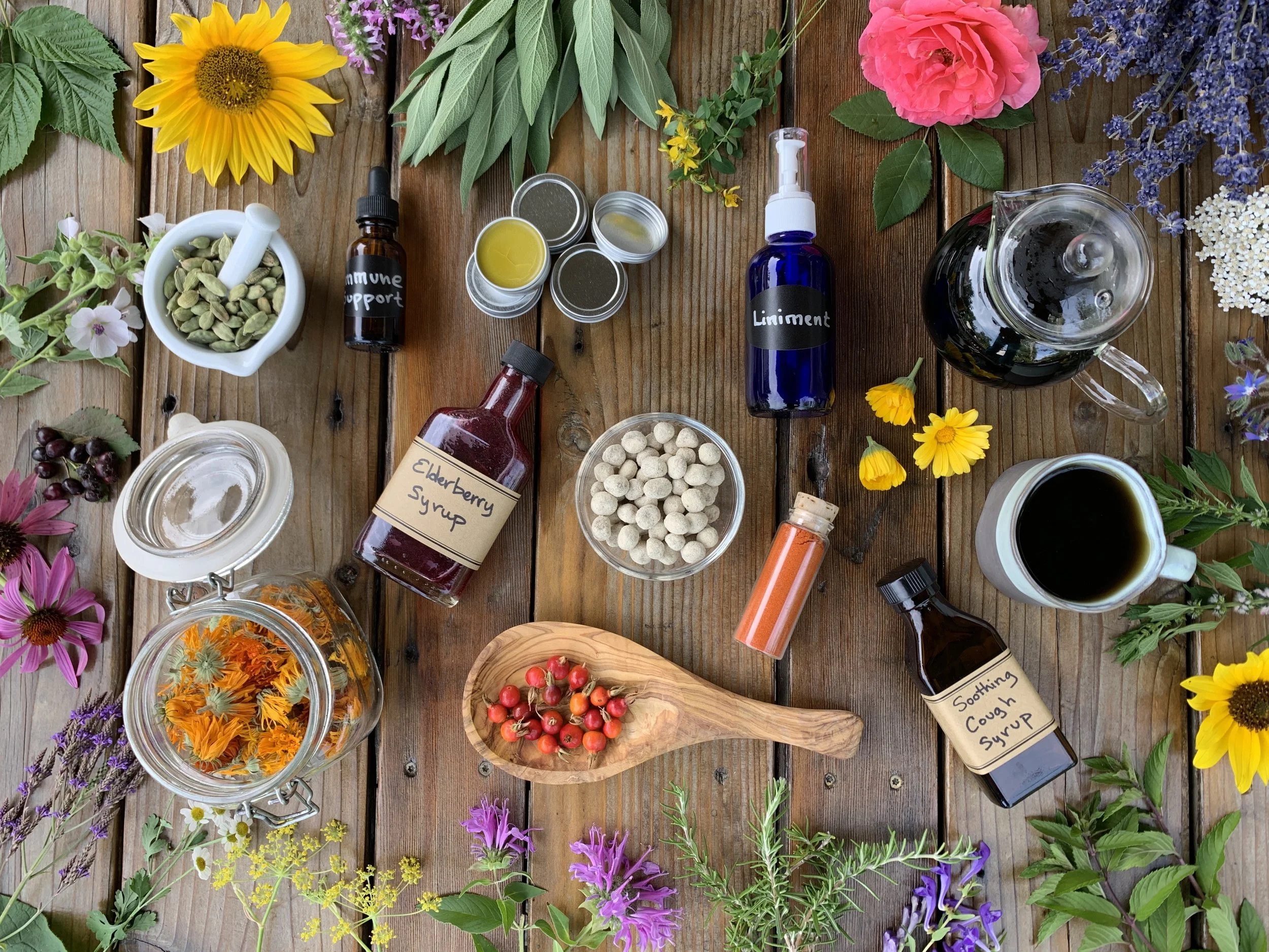 Herbalist Programs — Green Path Herb School
