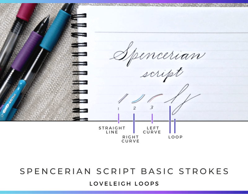 Beginner's Guide To The Spencerian Script [Tutorial] — Loveleigh Loops