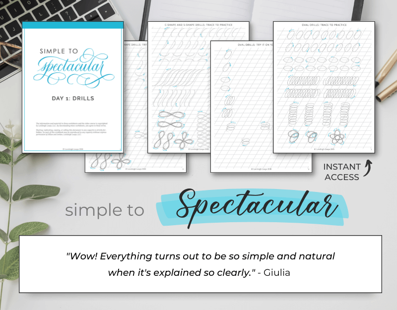 Calligraphy Flourishes Guide [+ Free Practice Sheets] — Loveleigh Loops