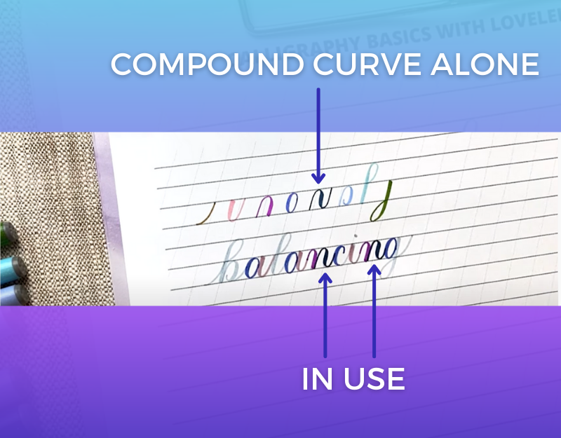8 Basic Calligraphy Strokes (History + Free Worksheet!) — Loveleigh Loops