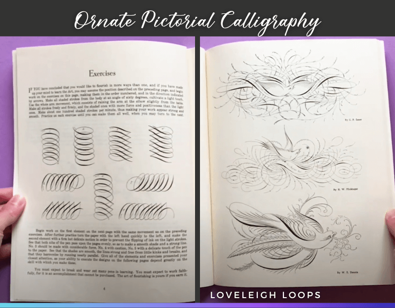 Best Calligraphy Books 2023 [Beginners, Kids + More] — Loveleigh Loops