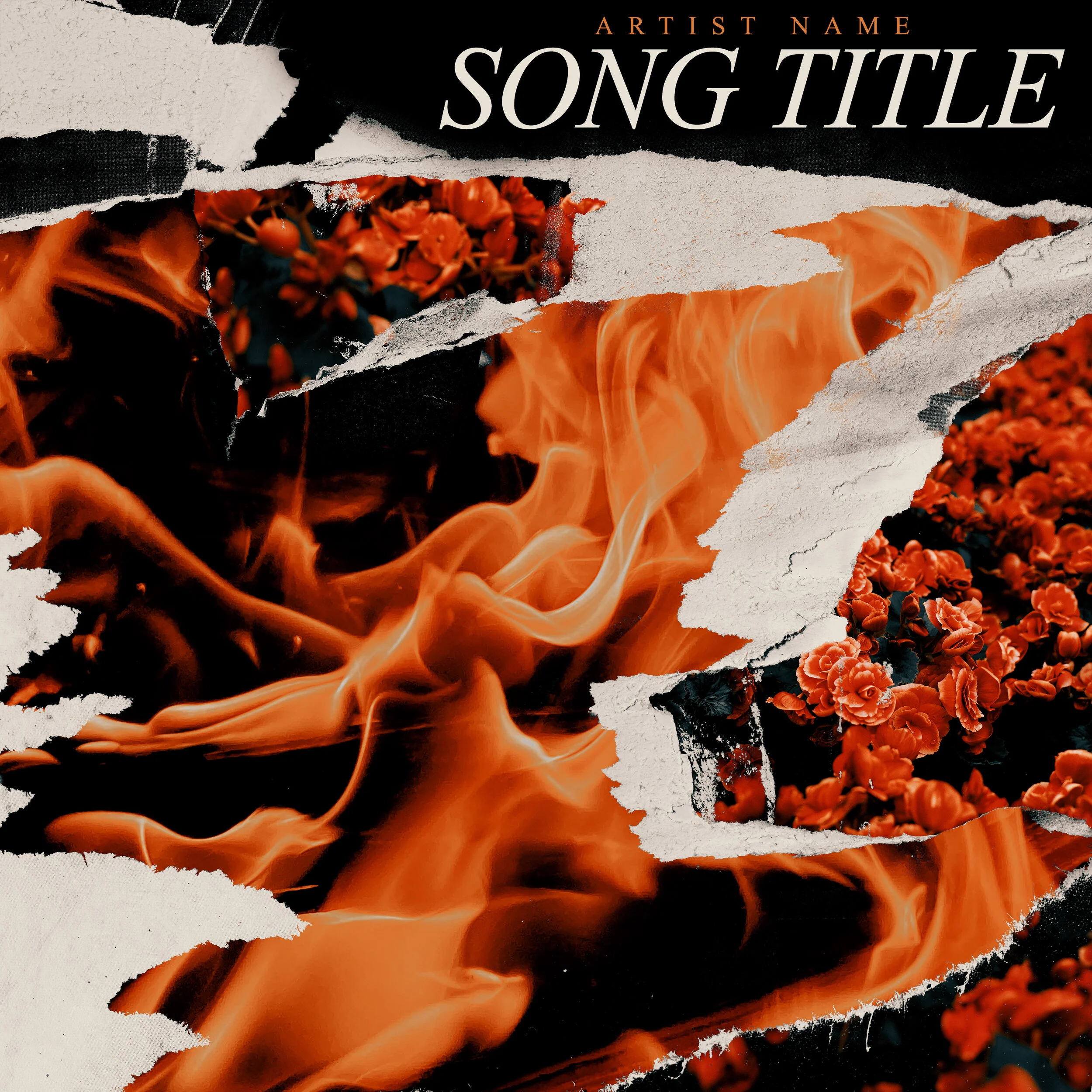 Pre-Made Album & Single Cover Art — Bandicoot Design