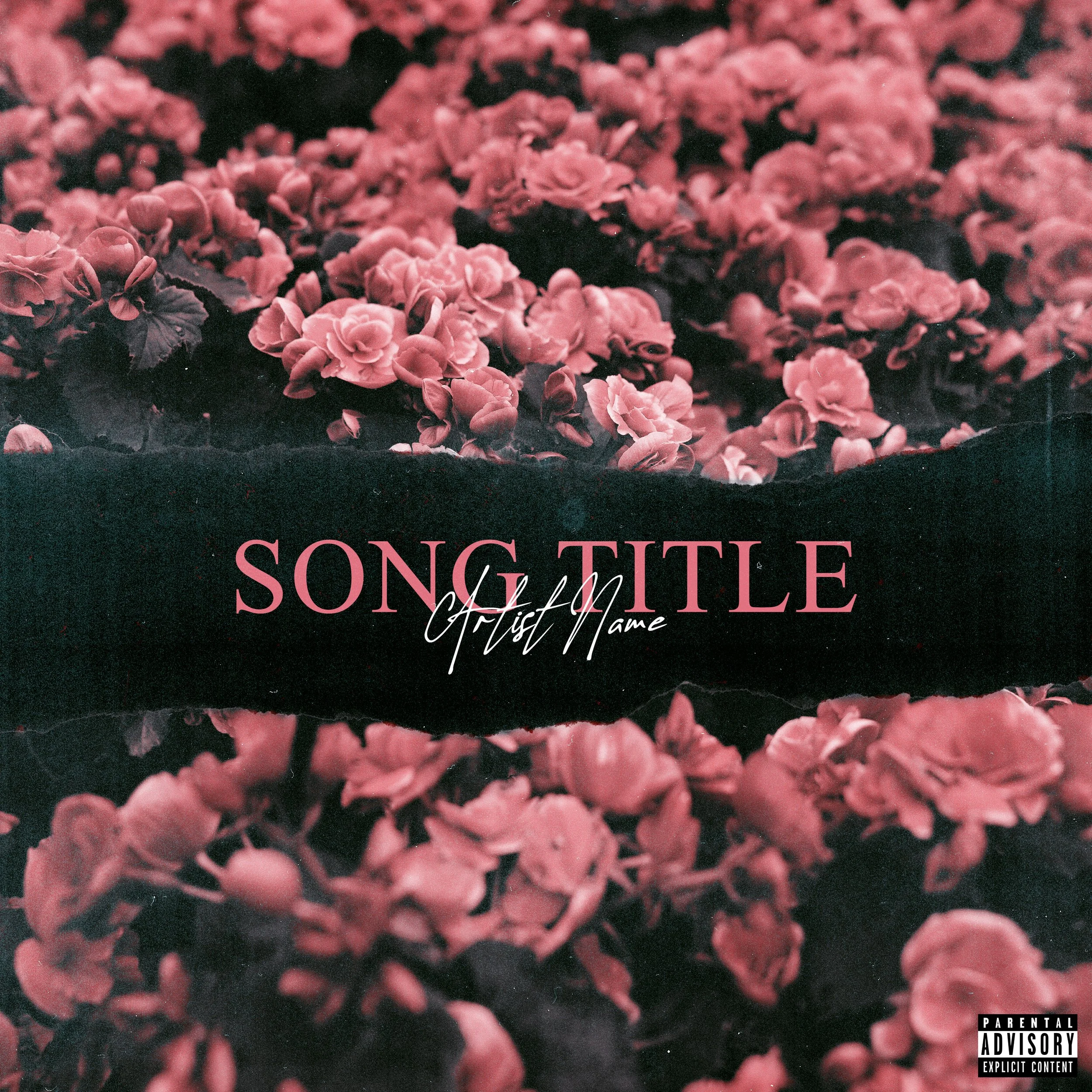 Premade Album & Single Cover Art — Bandicoot Design