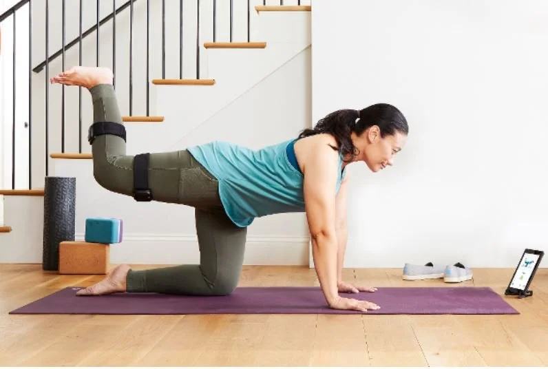 Hinge Health — PRUSA Benefits