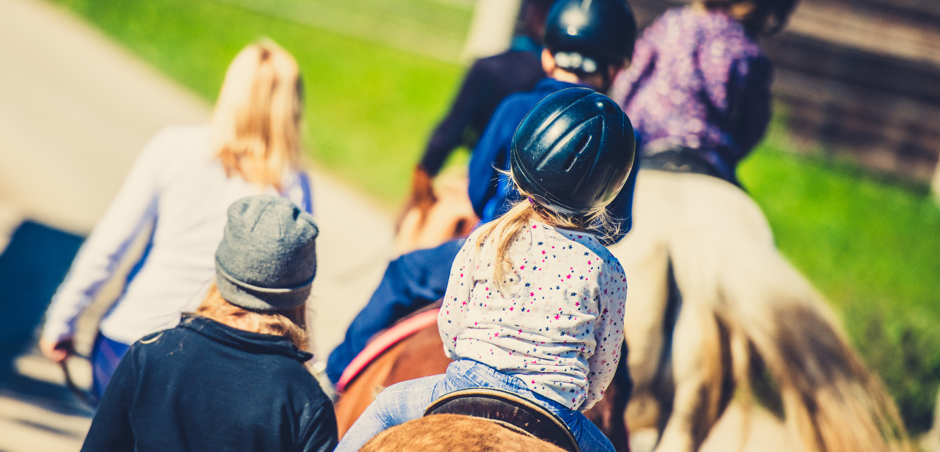 JD's Riding School in Franktown, CO