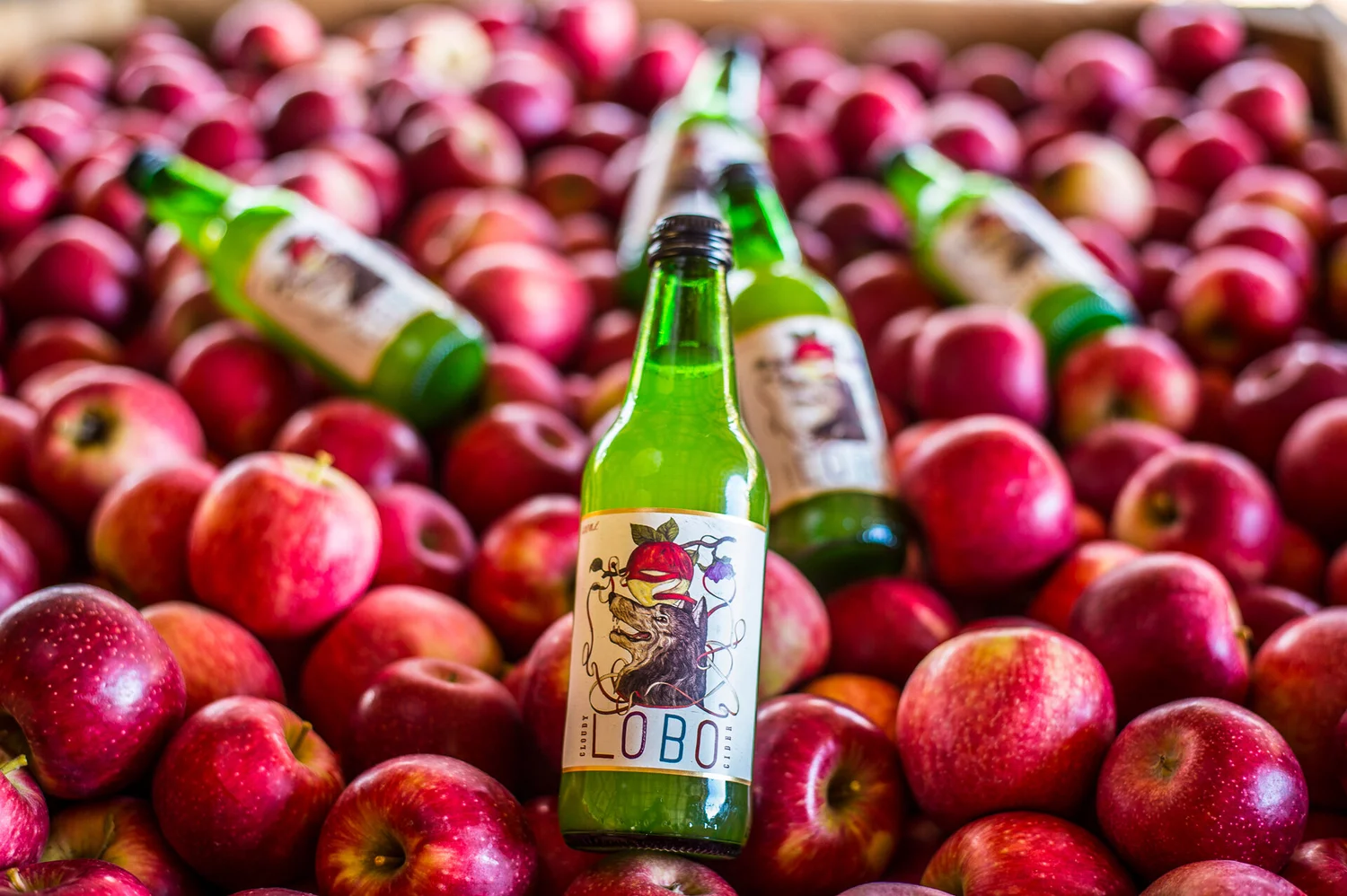 LOBO Cider and Spirits