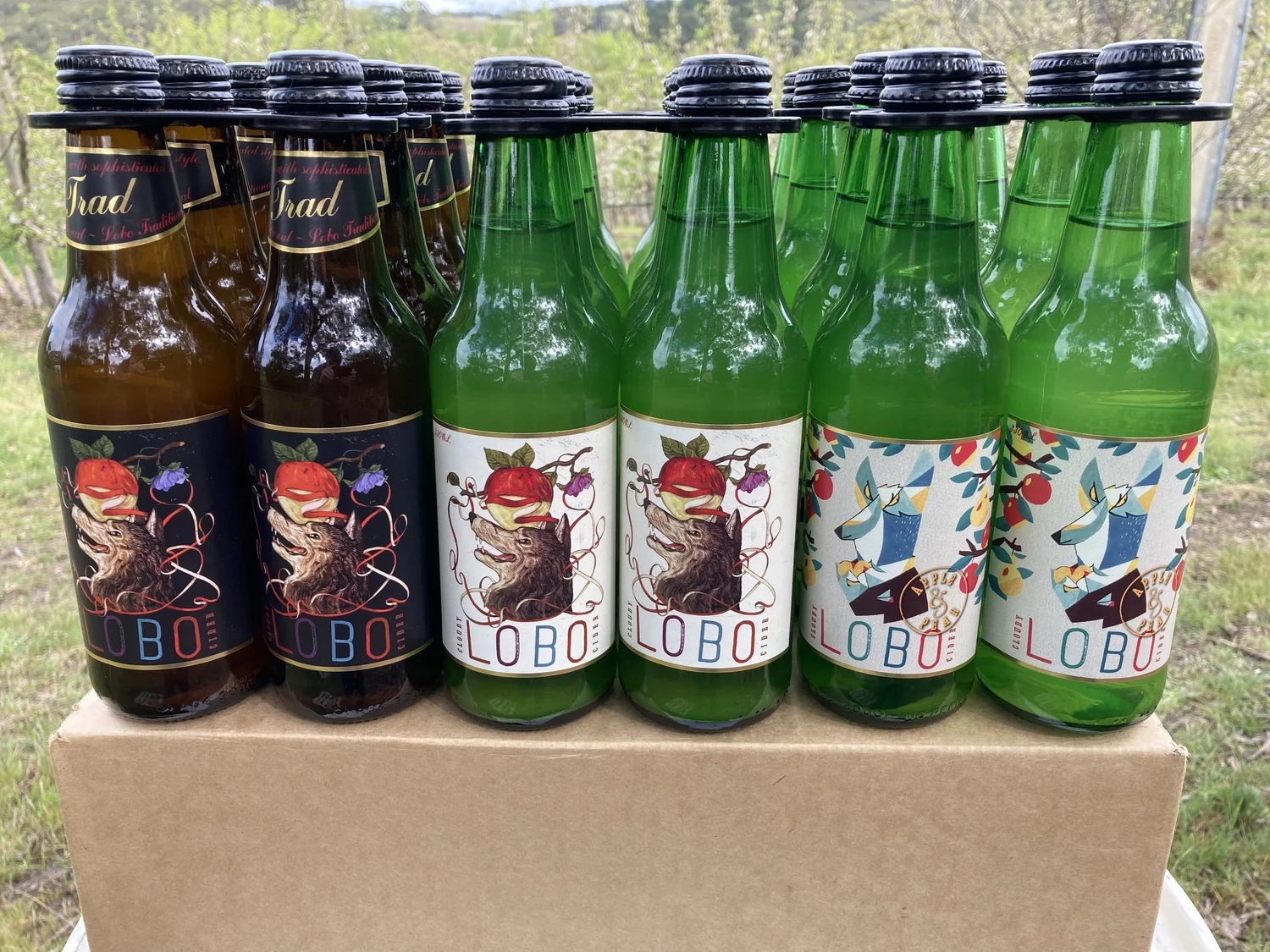 SHOP THE ORCHARD — LOBO Cider