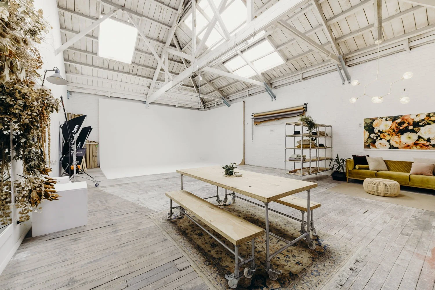 Acorn Studio - Dunedin Photography Studio