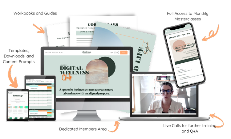 Understanding Your Dream Clients & Pricing Your Offers for Maximum Impact — elisajenks