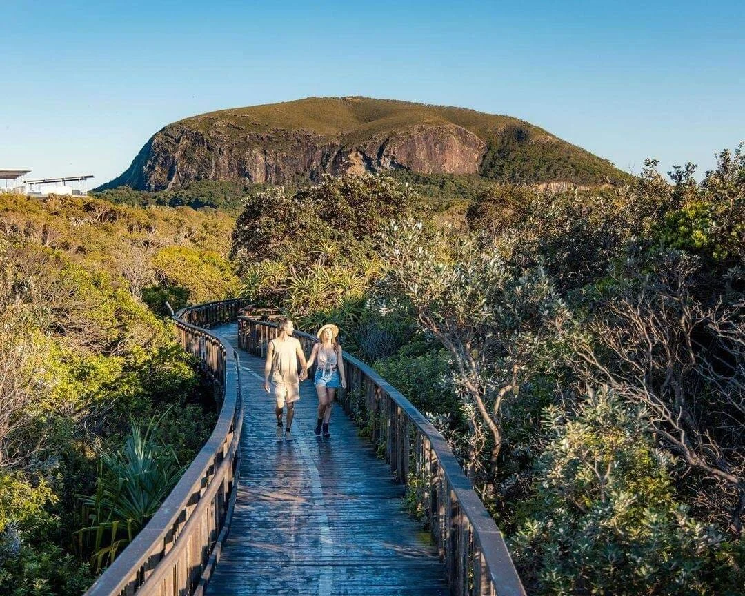 7 Hikes and Walks in Coolum on the Sunshine Coast — Visit Coolum