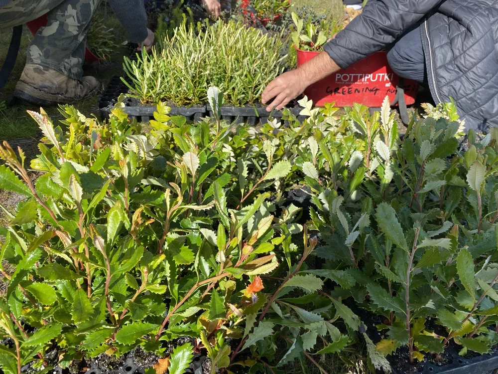Landcare Tree Planting — Gillamii Centre