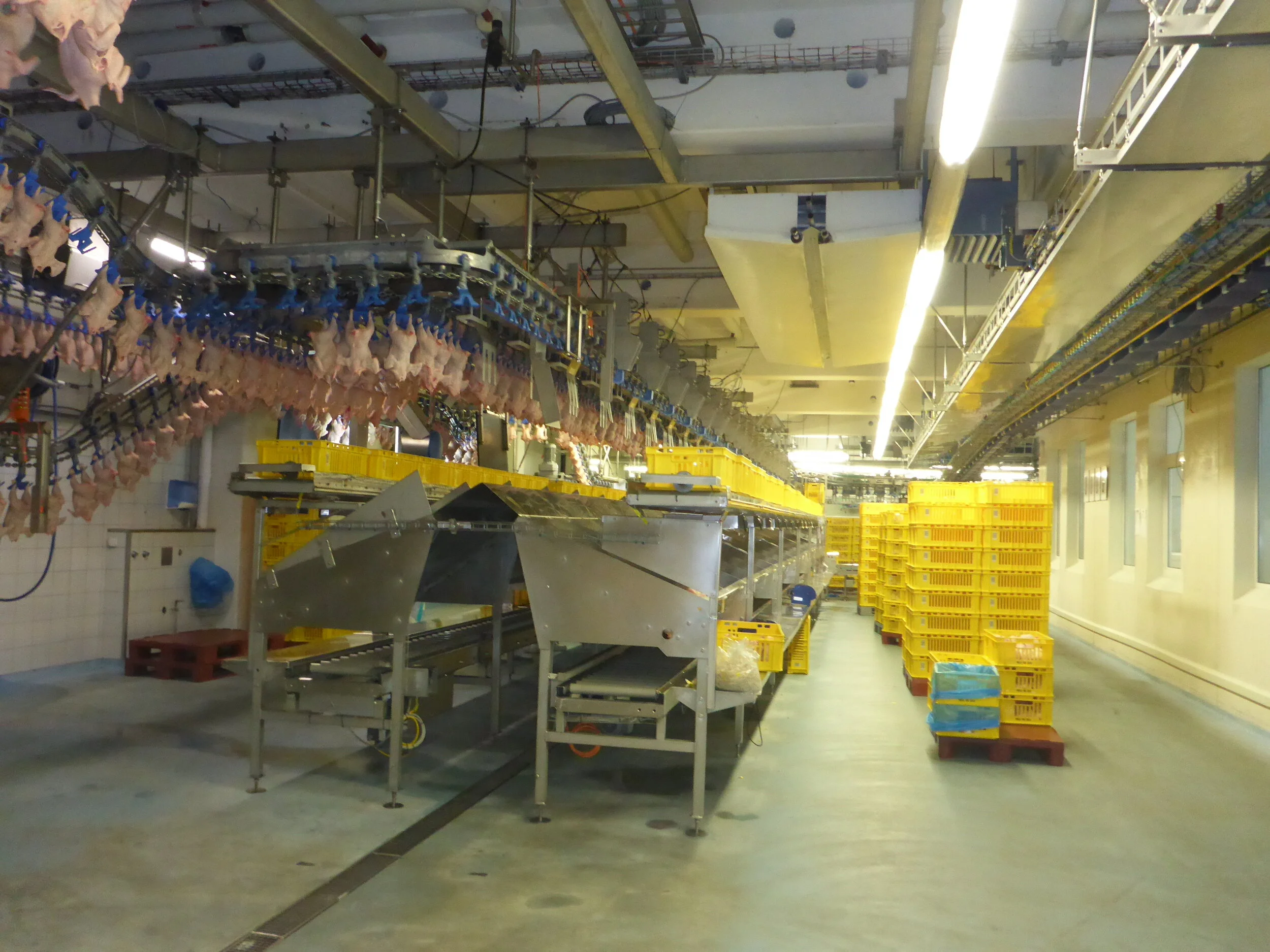 BELL SCHWEIZ AG ZELL — WEY + PARTNER AG