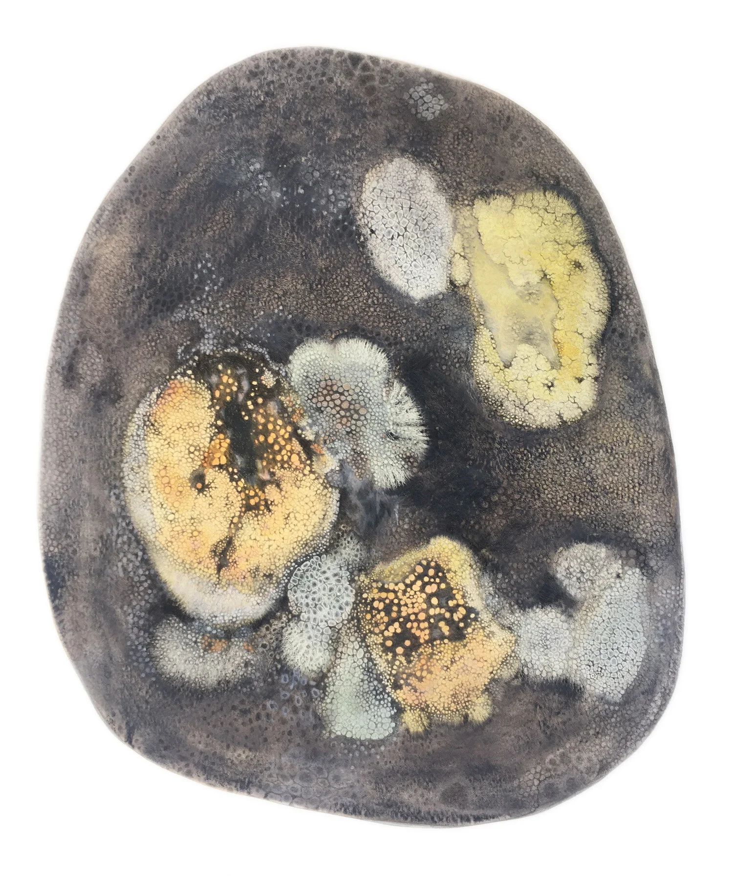 Lichen Work — Rose Sanderson